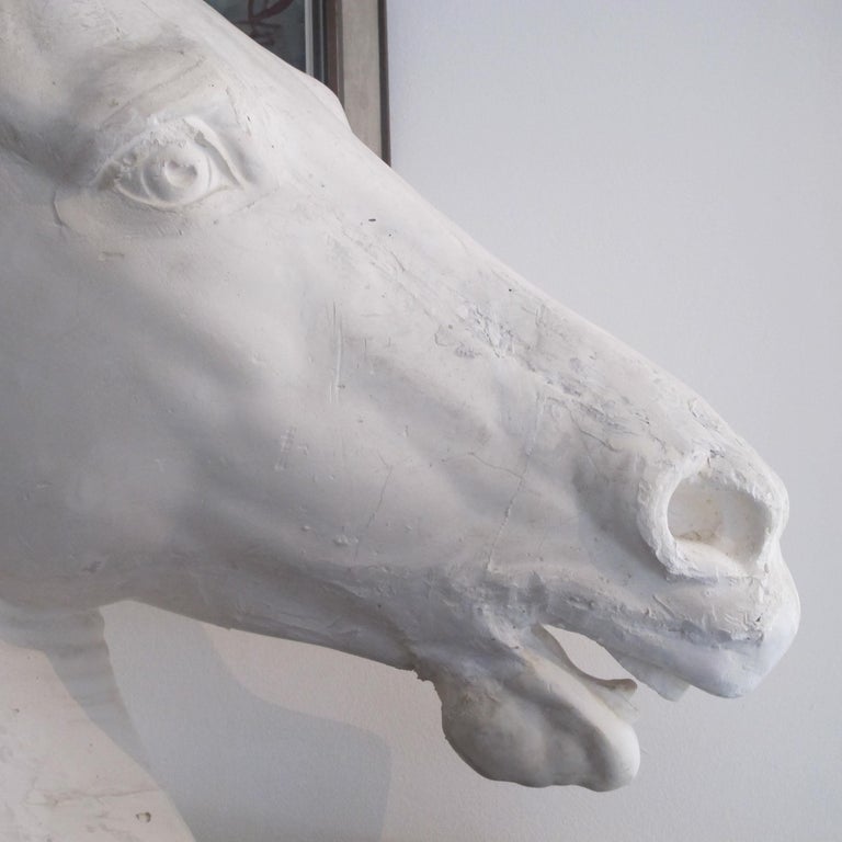 Early 20th Century French Life-Size Plaster Horse Head Inspired by The ...