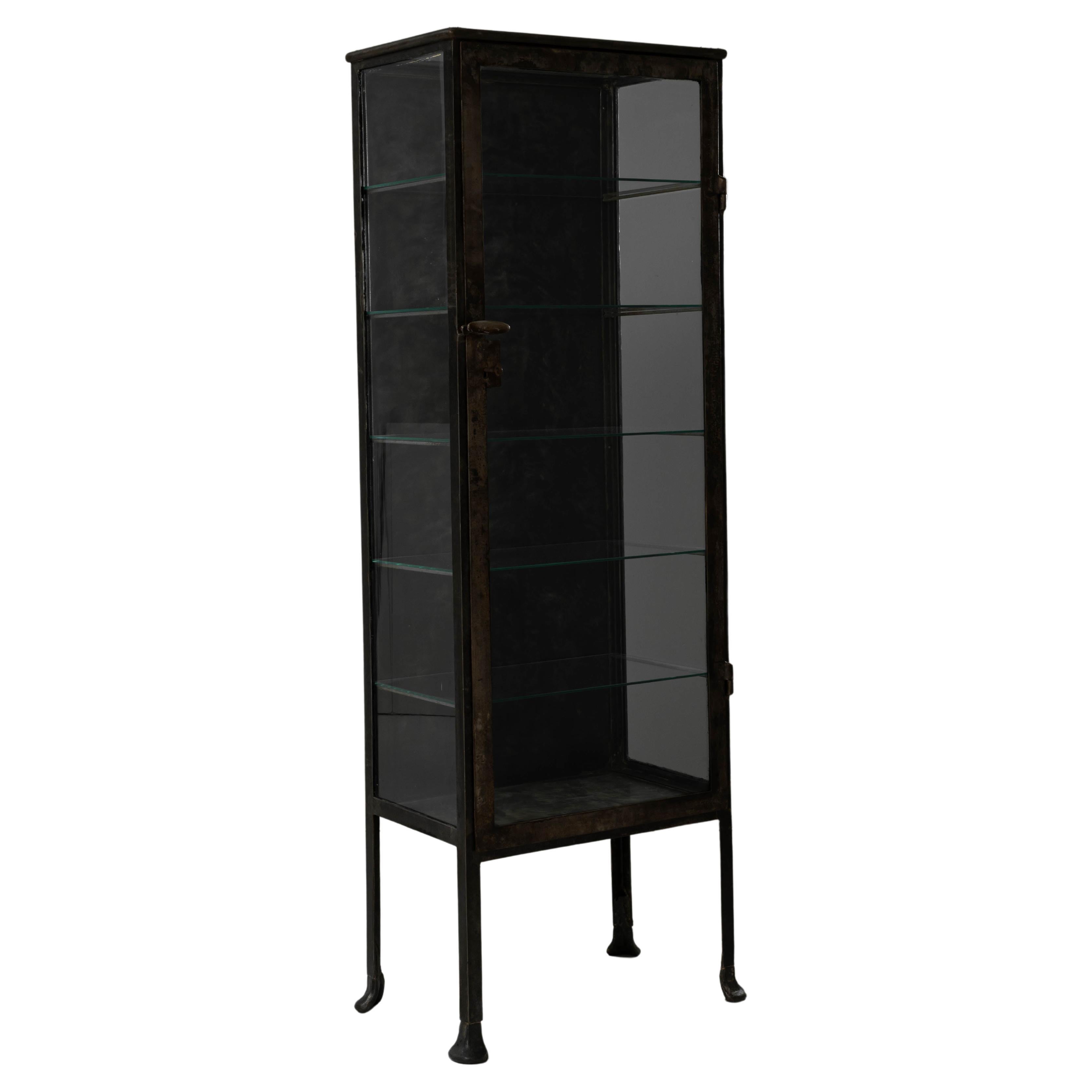 Early 20th Century French Metal Vitrine For Sale at 1stDibs