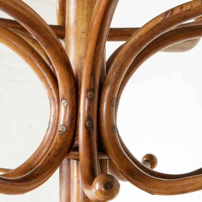 Early 20th Century French Thonet Bentwood Hall Tree Coat and Hat Rack ...