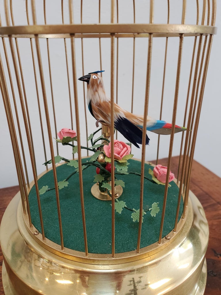 Early 20th Century German Signing Bird Automaton For Sale at 1stDibs