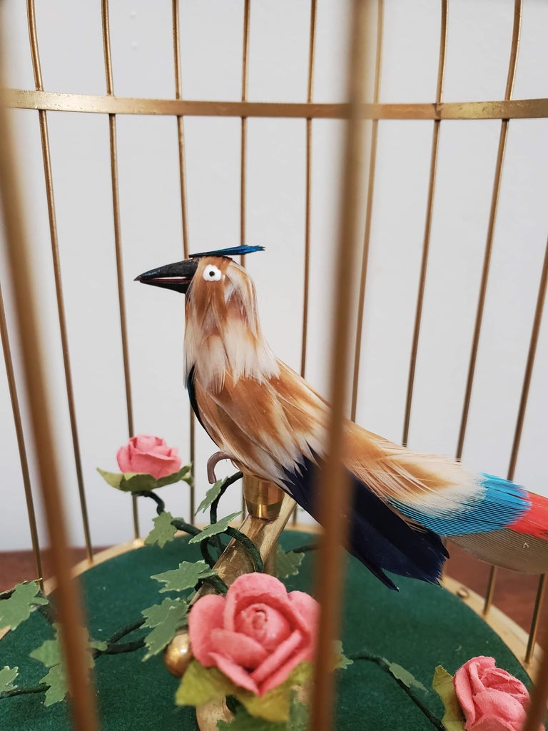 Early 20th Century German Signing Bird Automaton For Sale at 1stDibs