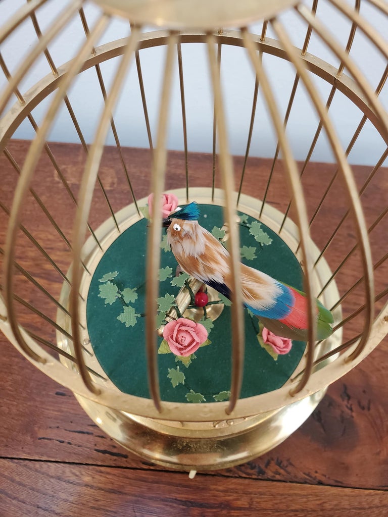 Early 20th Century German Signing Bird Automaton For Sale at 1stDibs