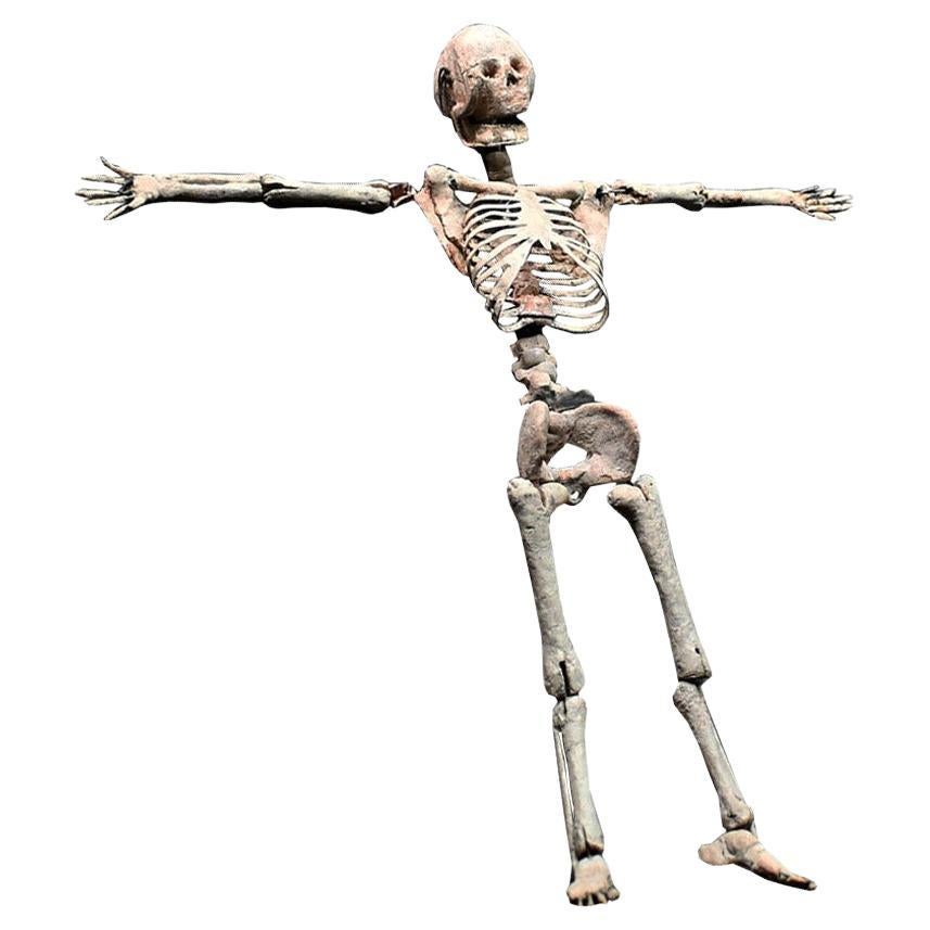 Early 20th century gesso over pine articulated skelton puppet For Sale ...