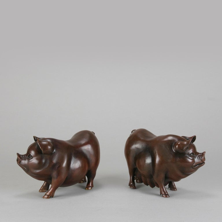 Early 20th Century Italian Bronze Pigs "Boar and Sow" circa 1920 For ...