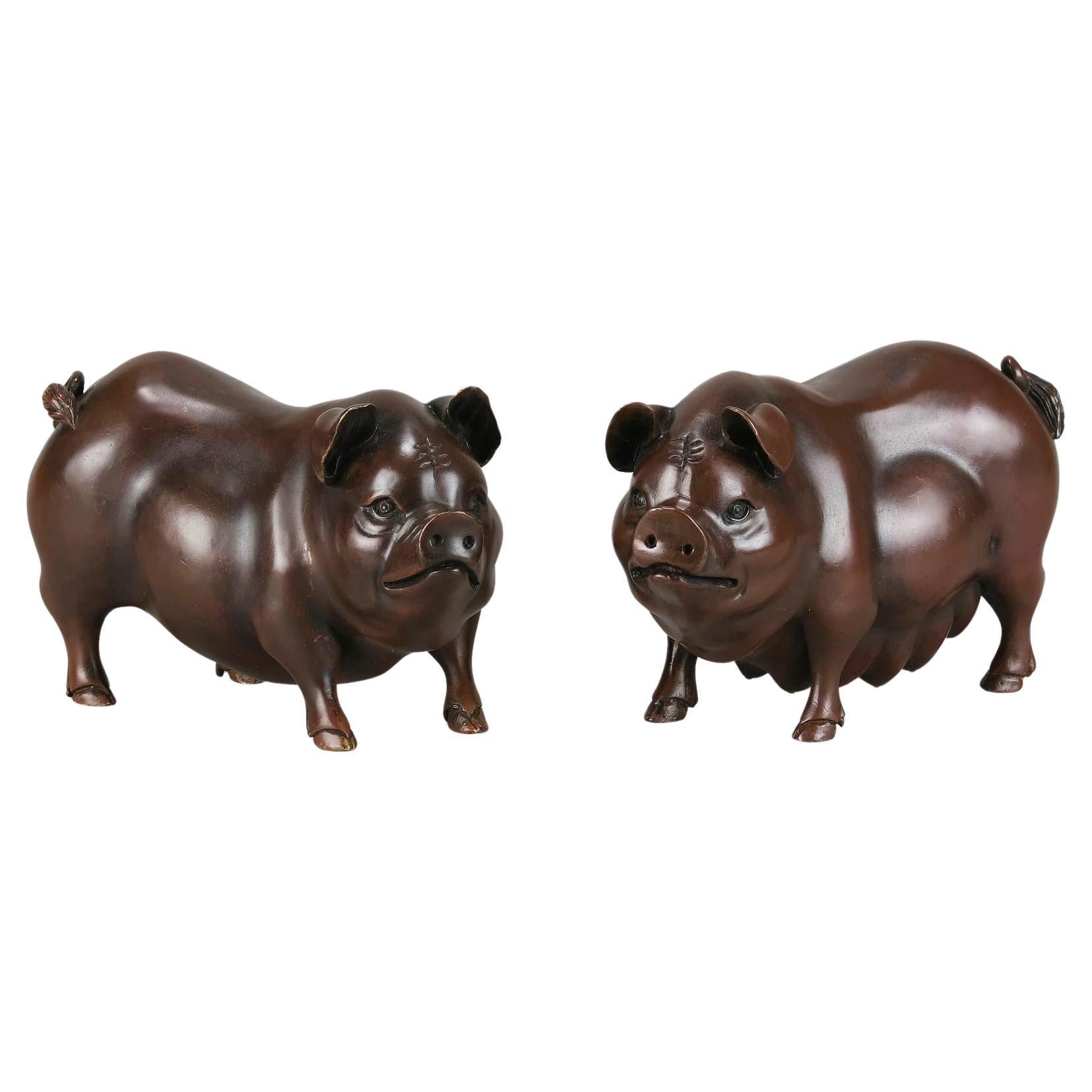 Early 20th Century Italian Bronze Pigs "Boar and Sow" circa 1920 For ...