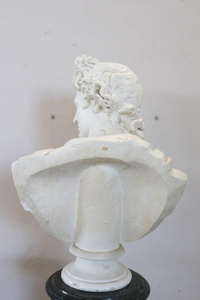 Early 20th Century Italian Sculpture Bust of Apollo in Plaster For Sale ...