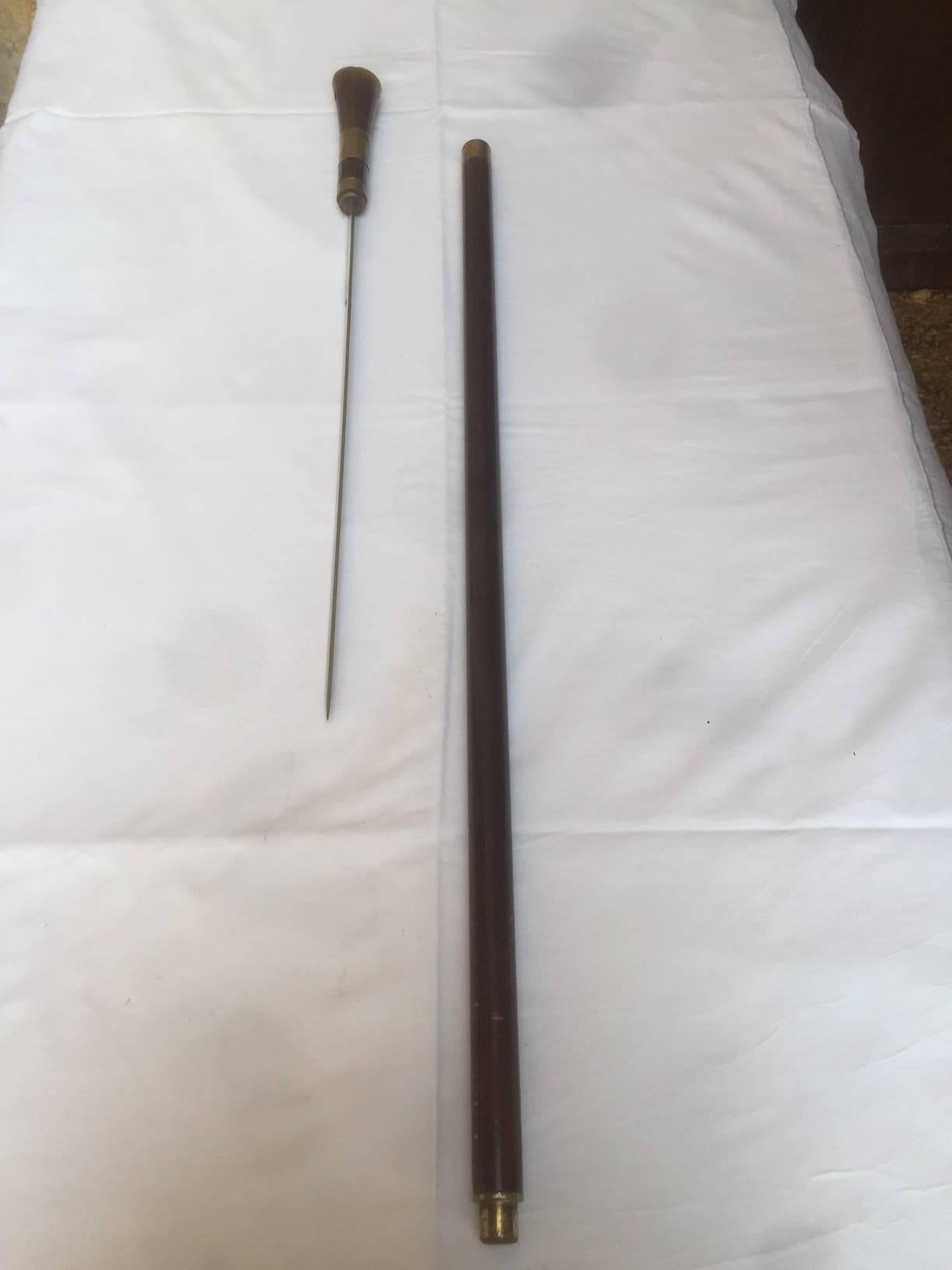 Early 20th Century, Mahogany and Horn Dagger Cane at 1stDibs