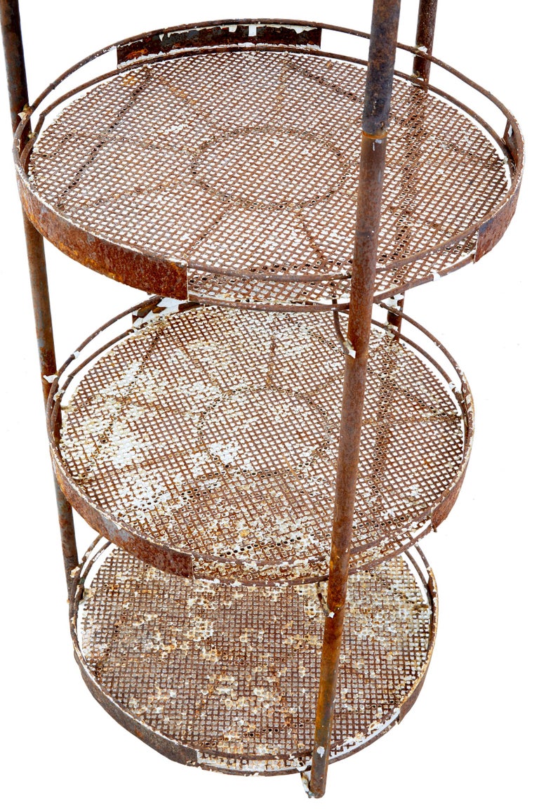 Early 20th Century Metal Seed Bulb Rack for Gardening For Sale at 1stDibs