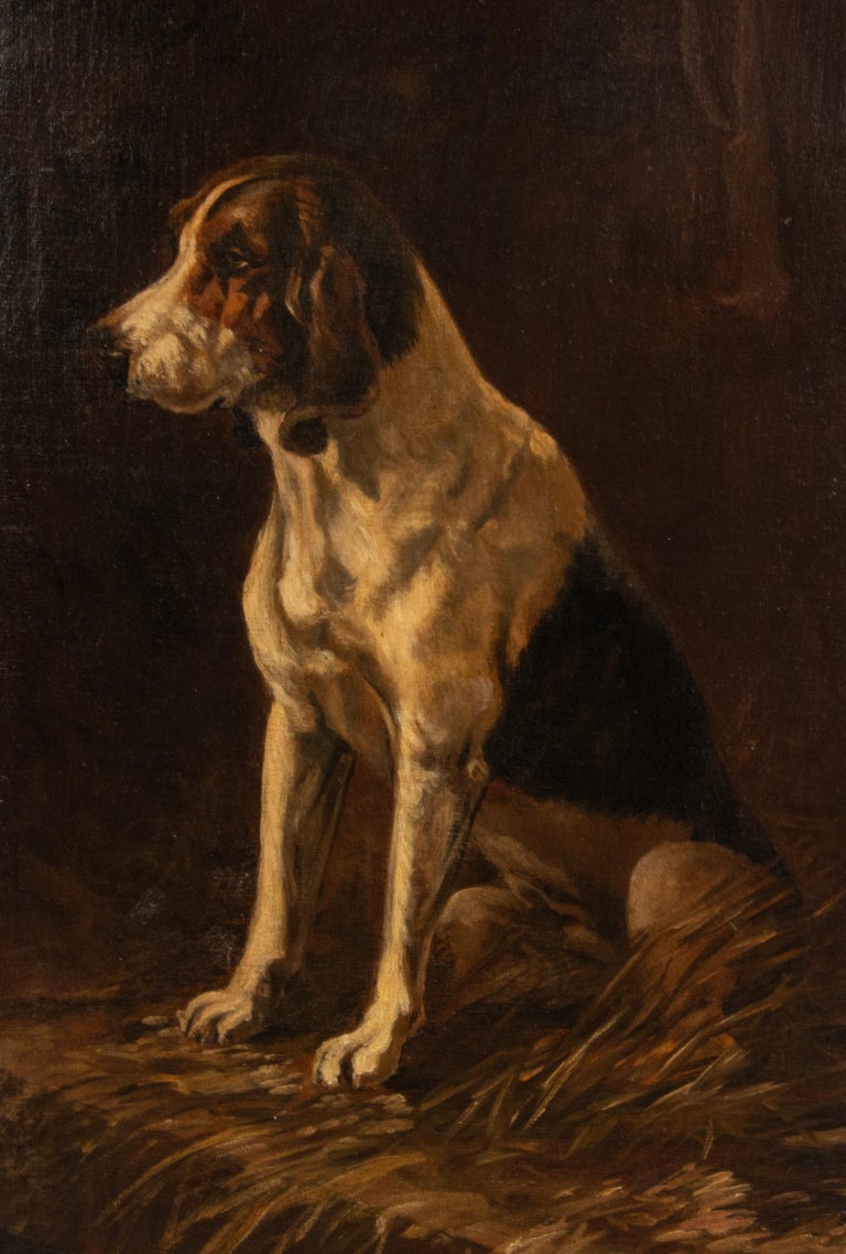 Early 20th Century Oil Painting Irish Setter Dog in a Stable For Sale ...