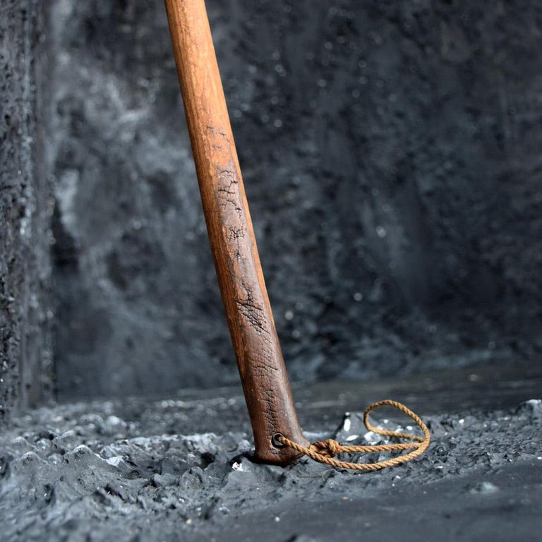 Early 20th Century Pizzle Stick 'Bull Penis' at 1stDibs