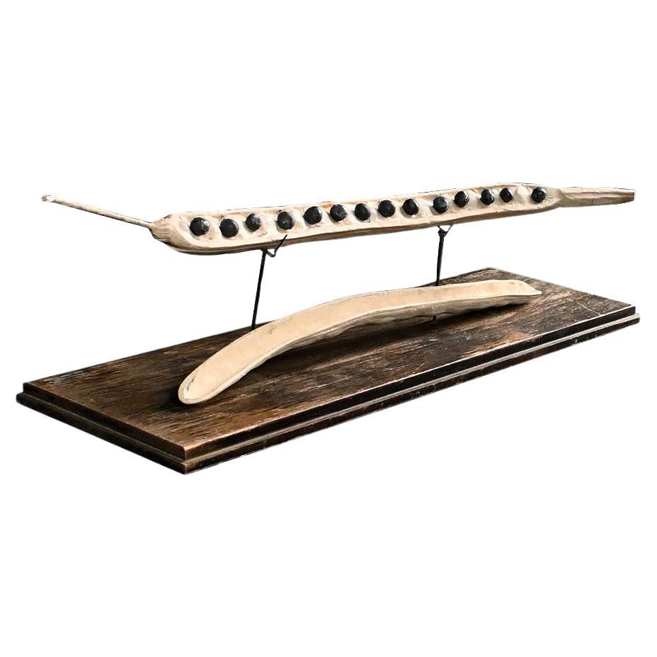 Early 20th Century Scientific Teaching Aid Example Seed Pod at 1stDibs