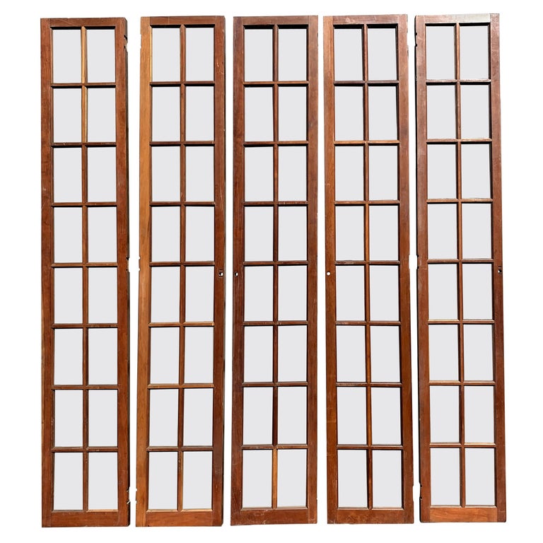 Early 20th Century Set of Five Cherrywood 16-Pane Glazed Doors For Sale ...