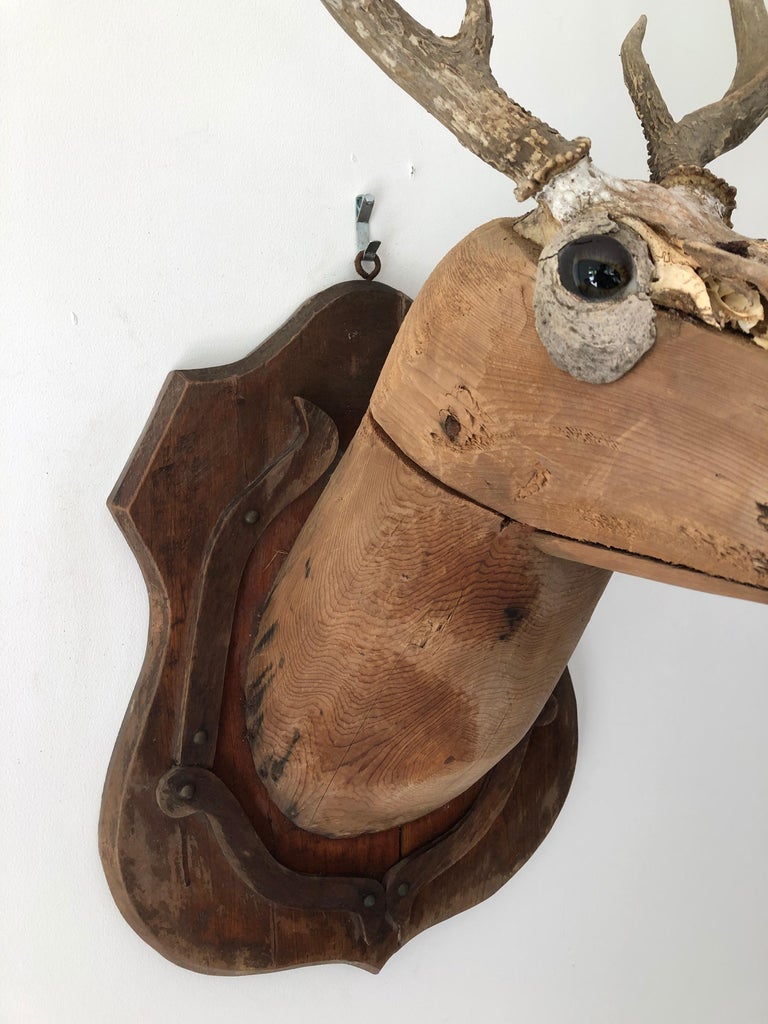 Early 20th Century Taxidermy Deer Mold For Sale at 1stDibs | taxidermy ...