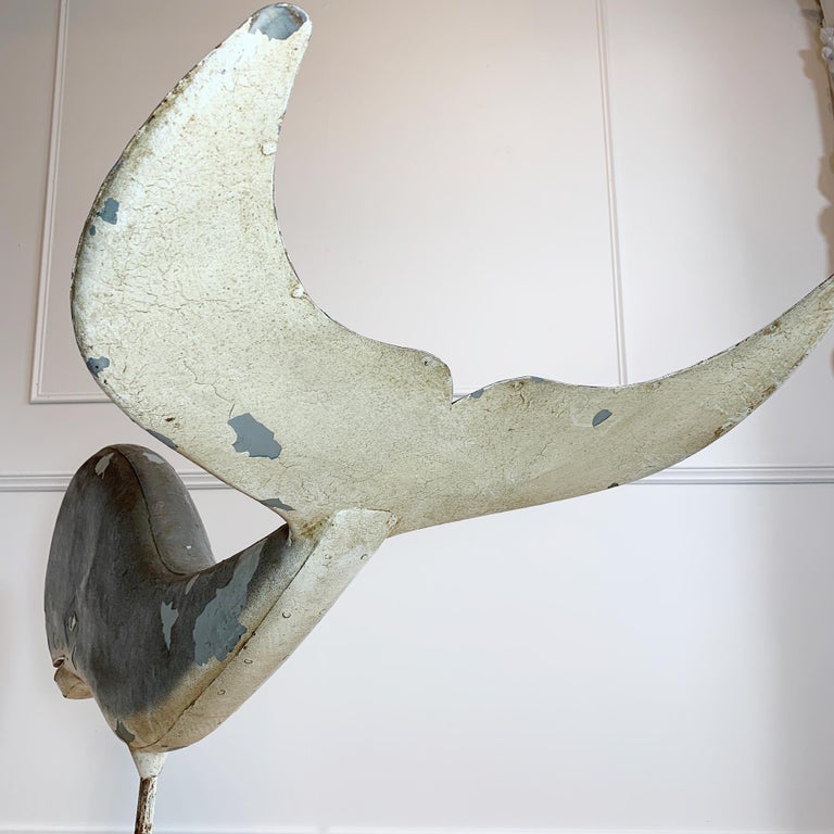 Early 20th Century Whale Shop/Trade Sign For Sale at 1stDibs