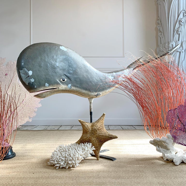 Early 20th Century Whale Shop/Trade Sign For Sale at 1stDibs