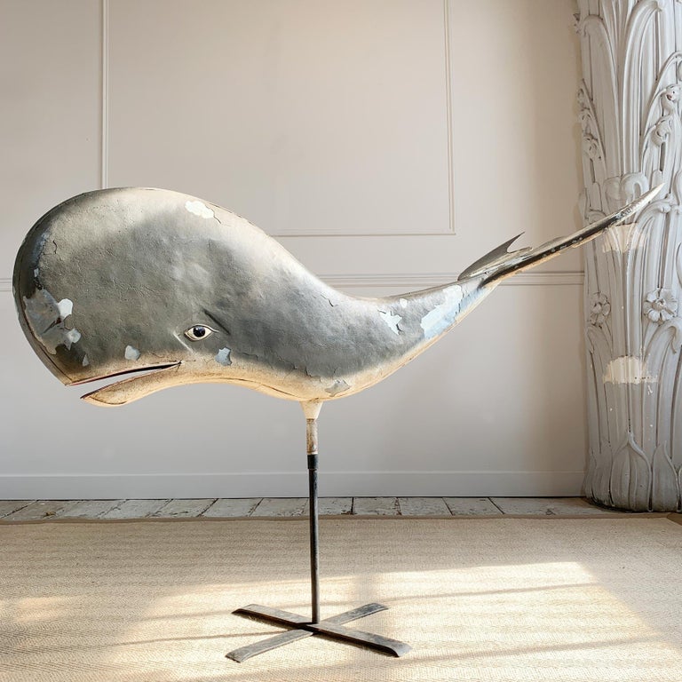 Early 20th Century Whale Shop/Trade Sign For Sale at 1stDibs