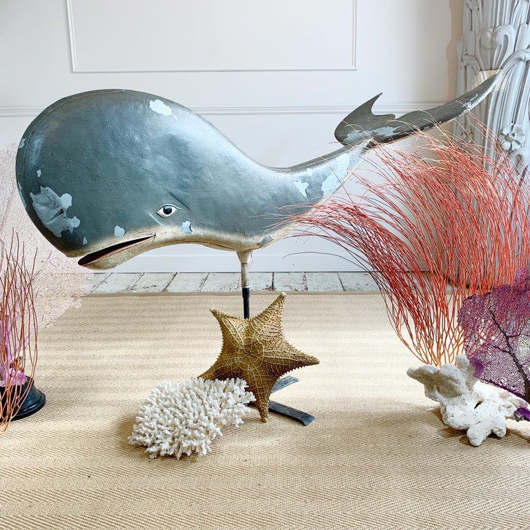 Early 20th Century Whale Shop/Trade Sign For Sale at 1stDibs