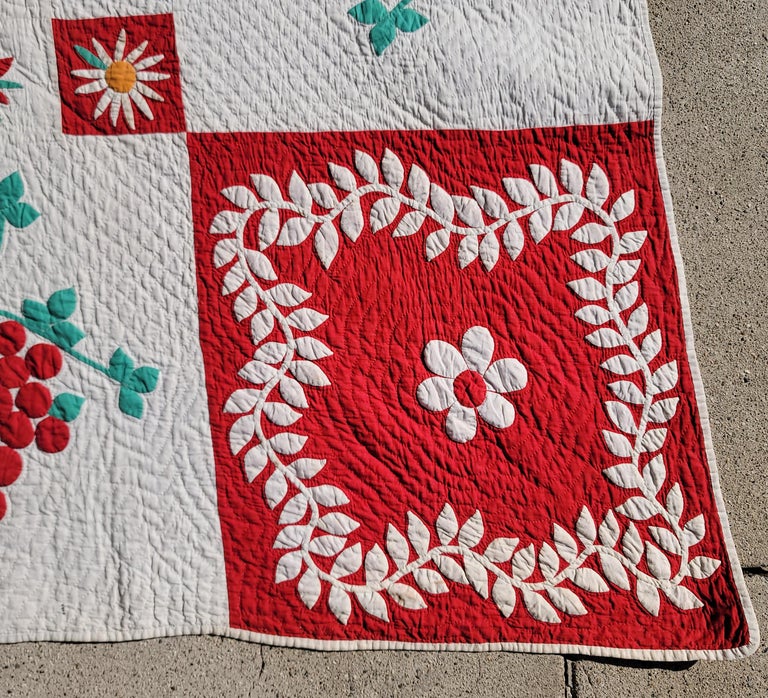 Early 20Thc Applique / Album Quilt For Sale at 1stDibs