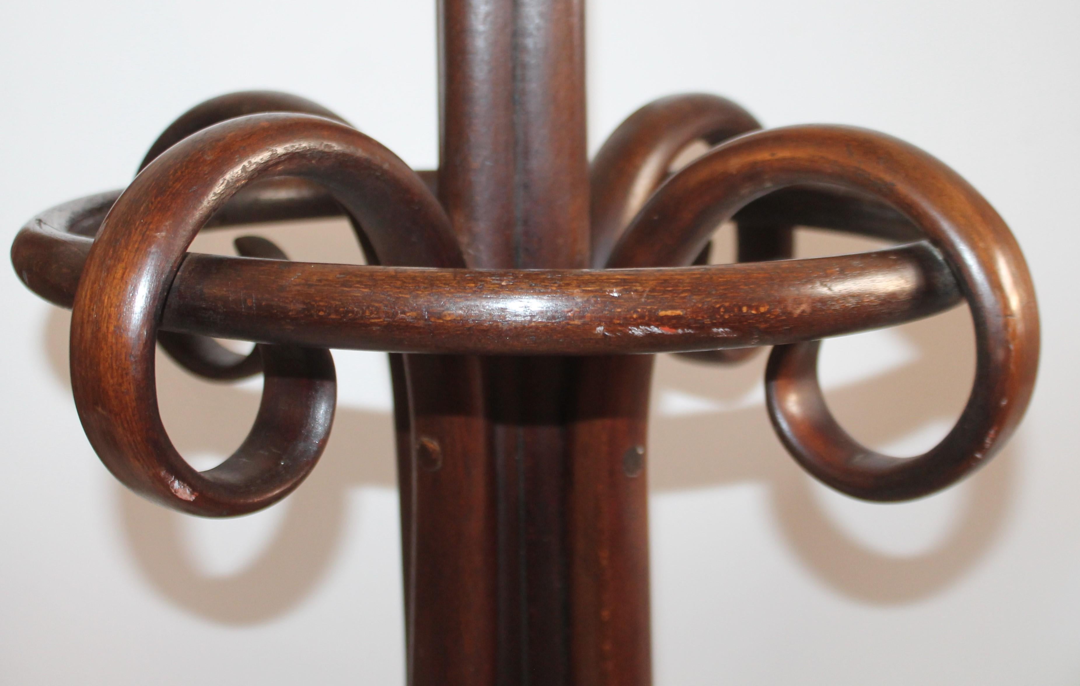 Early 20th Century Bentwood Hat and Coat Rack at 1stDibs
