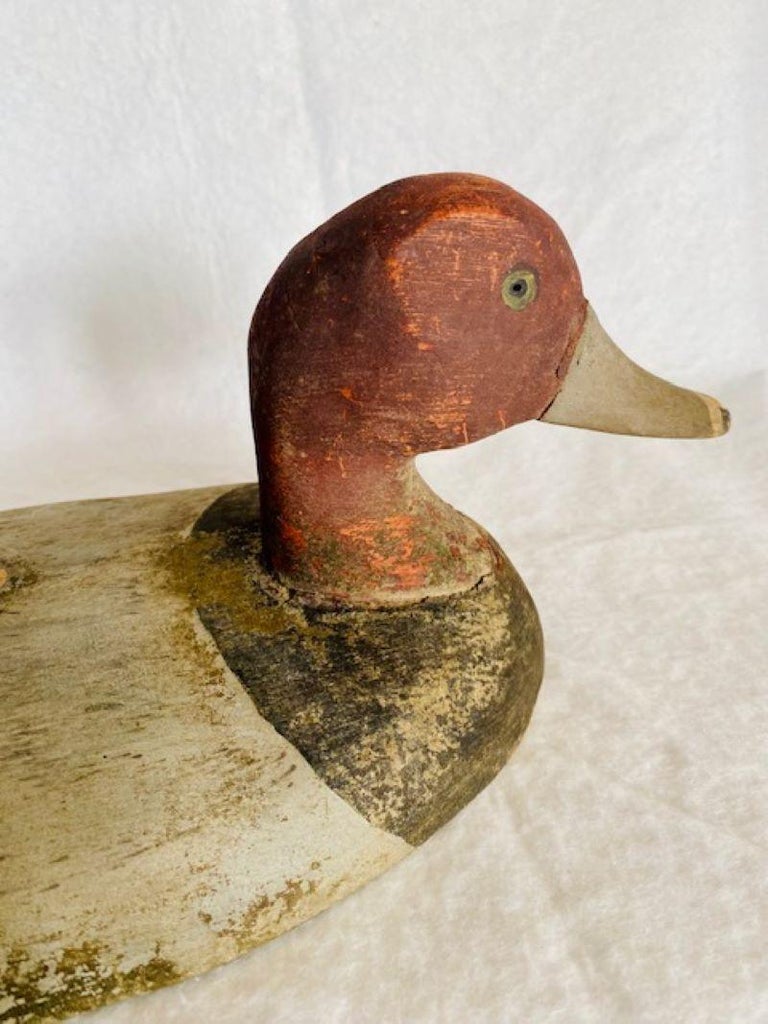 Early Chesapeake Bay Red Head Drake "John Duck" Sink Box Wing Decoy ...
