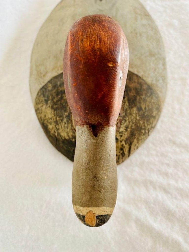 Early Chesapeake Bay Red Head Drake "John Duck" Sink Box Wing Decoy ...