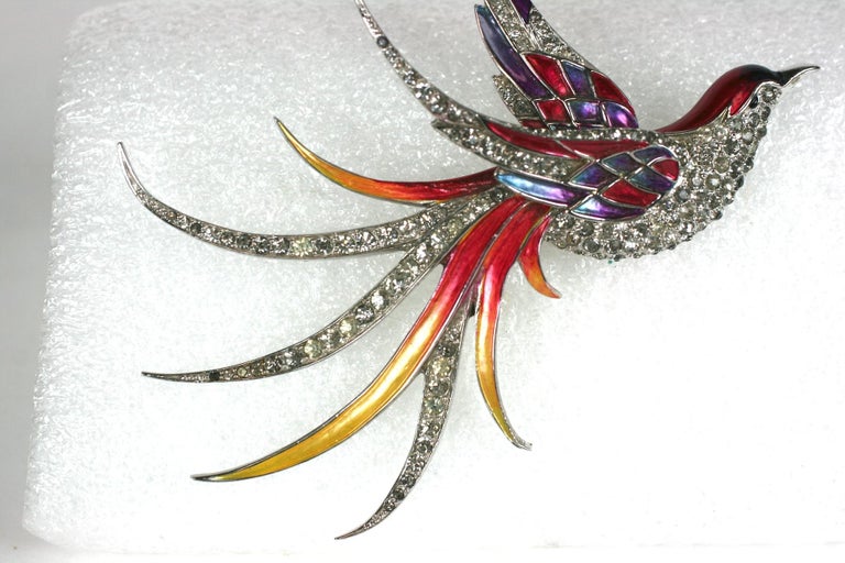 Early Marcel Boucher Enamel Bird of Pradise For Sale at 1stDibs