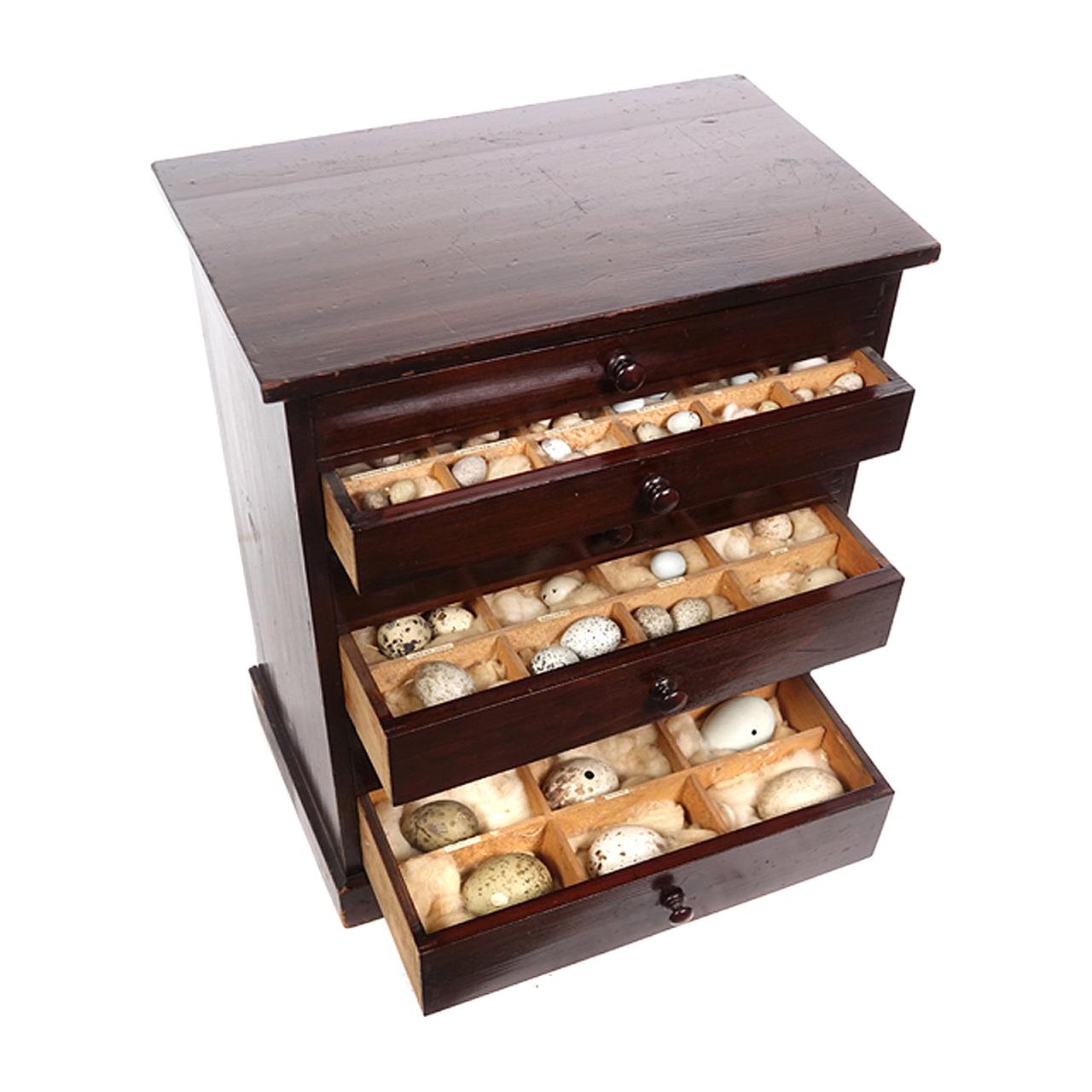 Early Museum Egg Collection at 1stDibs