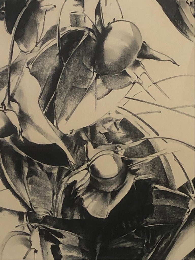 Early “Pod Series” Charcoal on Paper by Richard Lytle 1973 in Original ...