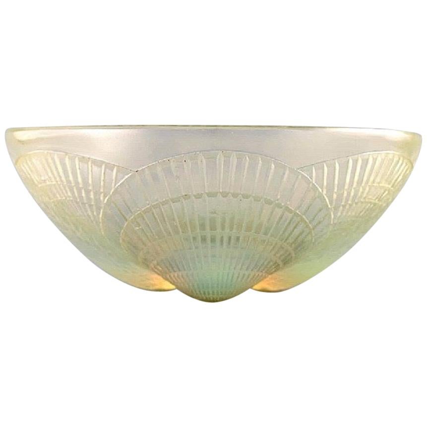 Early René Lalique "Coquilles" Bowl in Art Glass Decorated with Sea ...