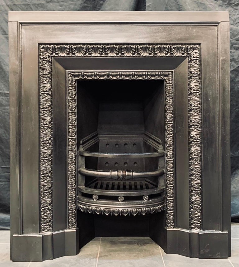 Early Victorian Scottish Cast Iron Fireplace Insert For Sale at 1stDibs