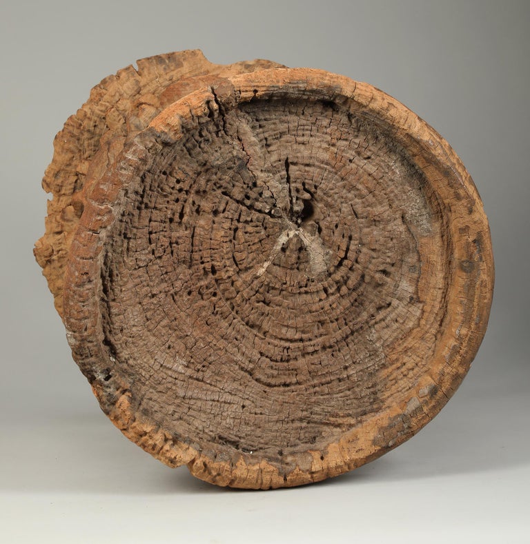 Early Weathered Wood Cameroon Stool with Rows of Spiders, Early 20th ...