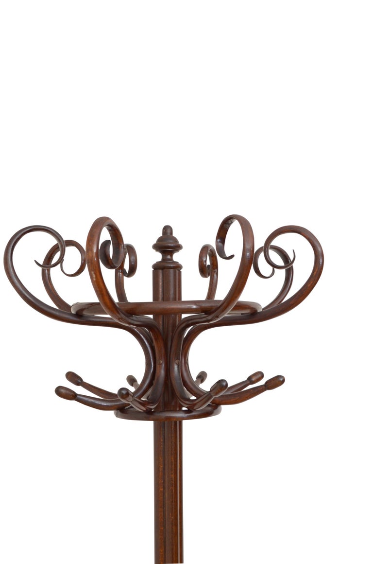 Early 20th Century Bentwood Coat Stand Coat Rack For Sale at 1stDibs