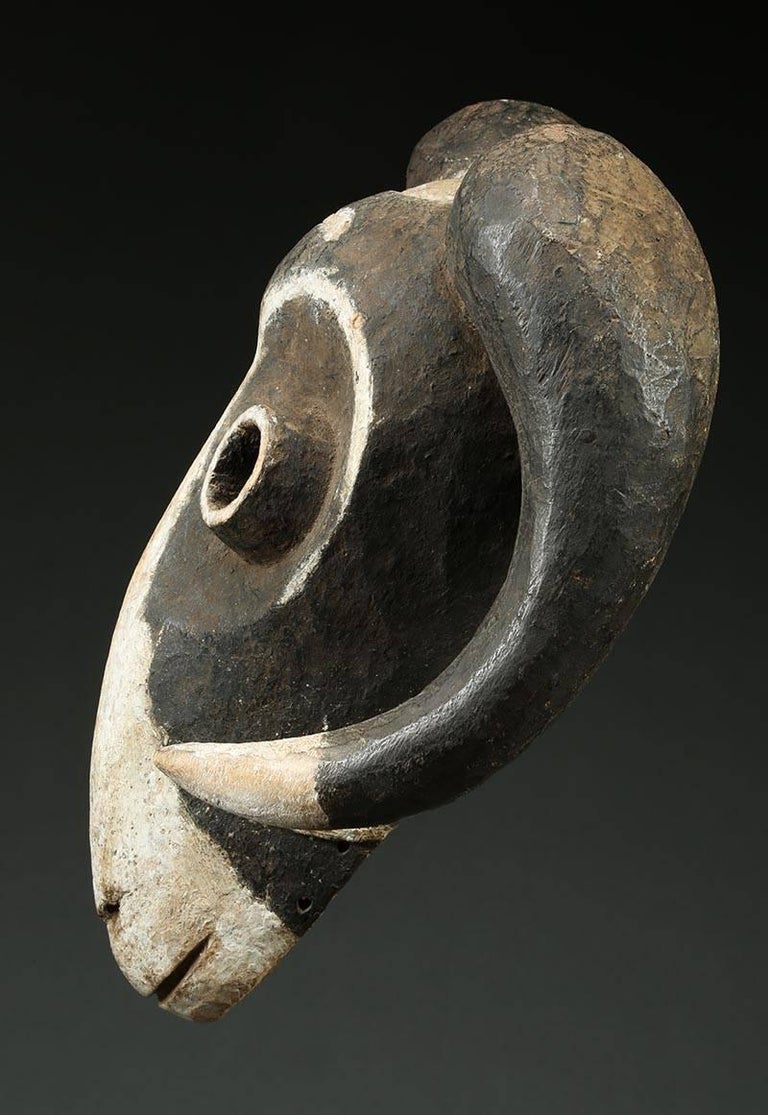 Eastern Pende Tribal Ram Mask, Congo, 'DRC' at 1stDibs