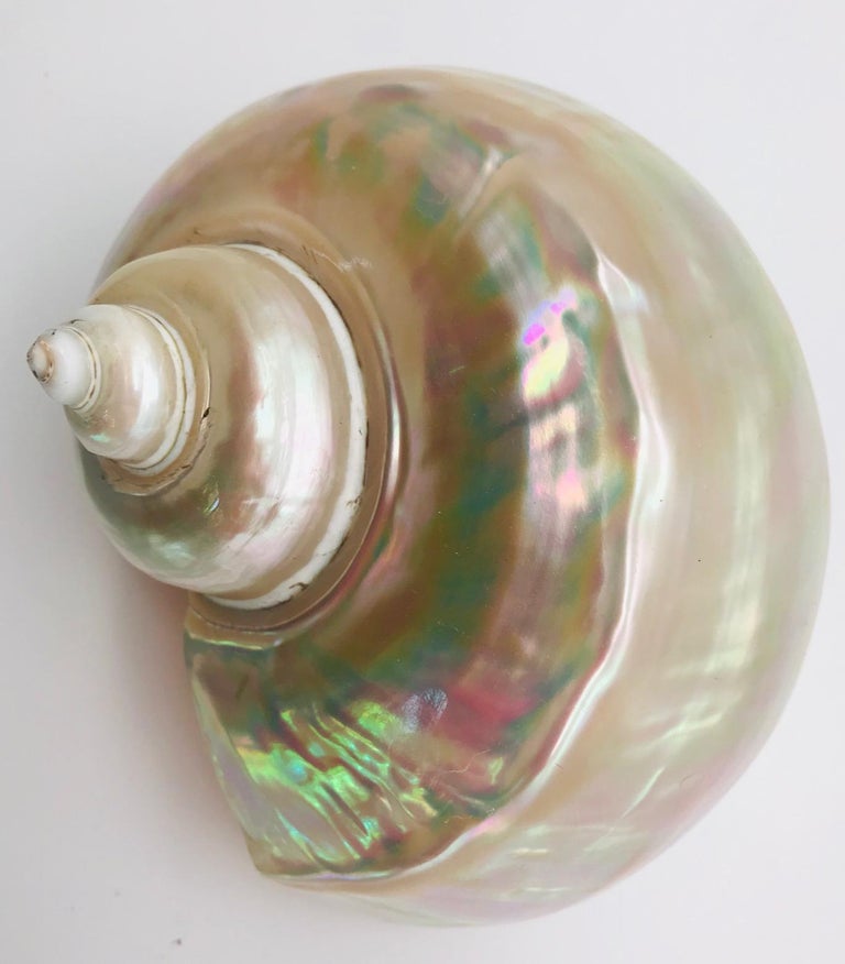 Pink nacre Mother of pearl Up-cycled Eco Sustainable Pendant by S ...