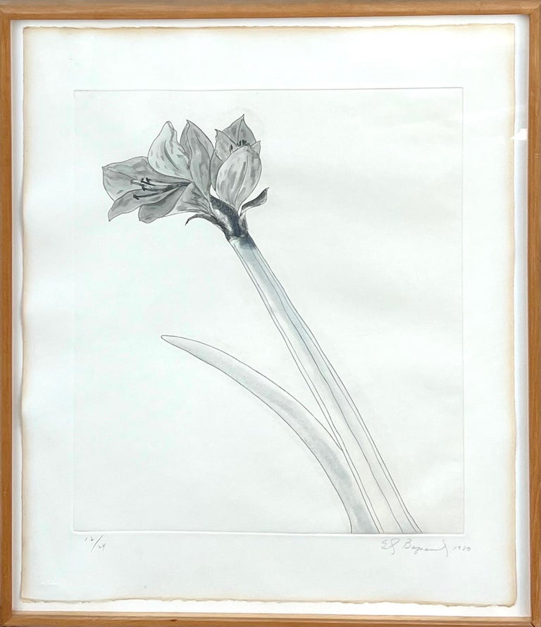 Ed Baynard - Zen Minimalist Flowers Aquatint Etching American Modernist ...