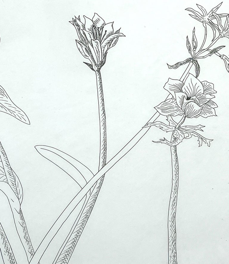 Ed Baynard - Zen Minimalist Flowers Etching American Modernist Ed ...