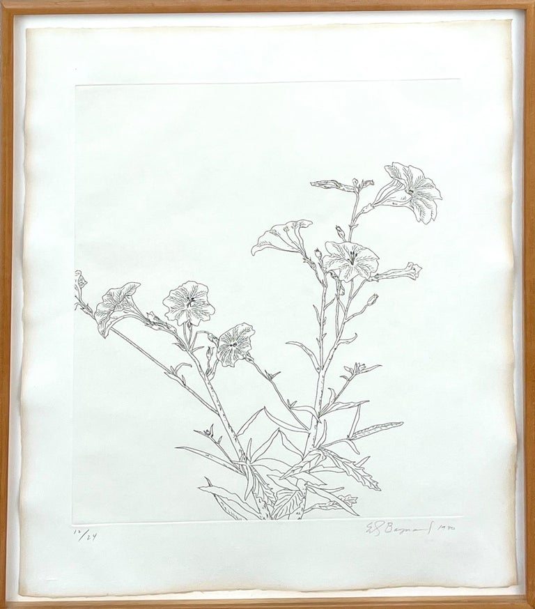 Ed Baynard - Zen Minimalist Flowers Etching American Modernist Ed ...