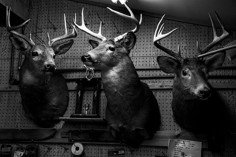 Ed Rubin - Edward L. Rubin, Three Deer Heads, Framed For Sale at 1stDibs