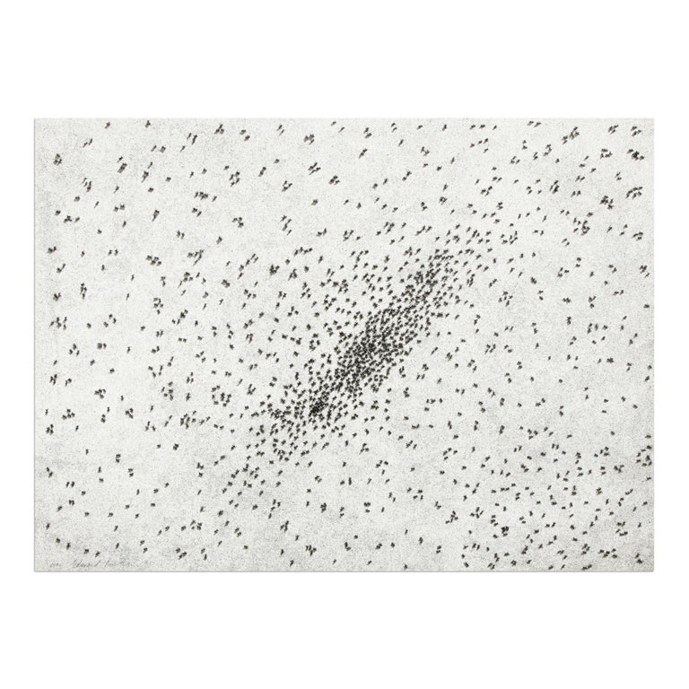 Ed Ruscha - Ed Ruscha, Insect Slant (Ants) - Lithograph and Screenprint ...