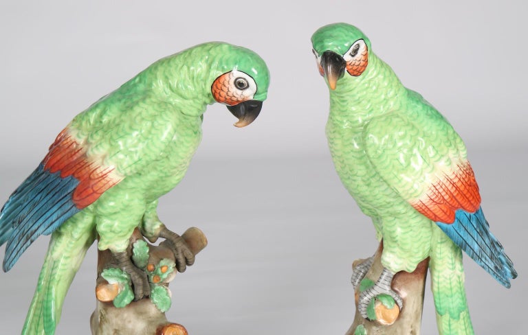 Edme Samson Porcelain Parrots on Trunks in Green at 1stDibs