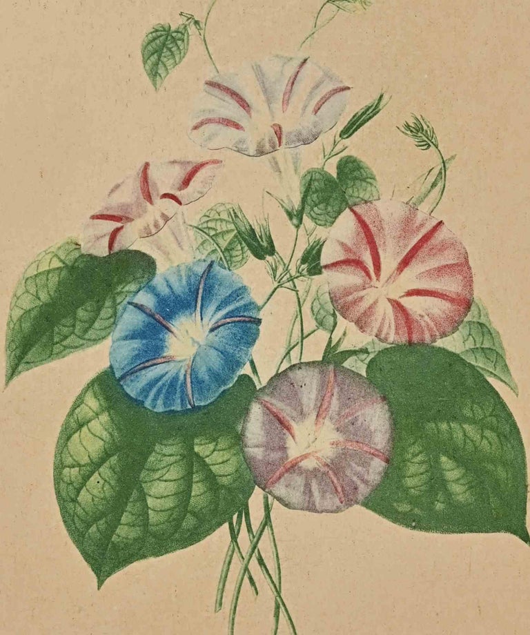 Edouard Maubert - Victorian Bouquet - Etching By Edouard Maubert- 19th ...