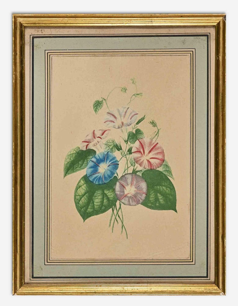 Edouard Maubert - Victorian Bouquet - Etching By Edouard Maubert- 19th ...