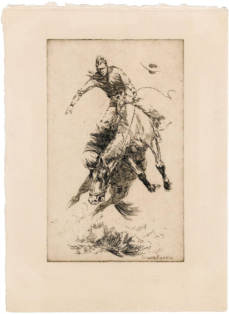 Bucking Horse Sketch