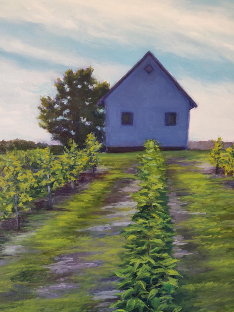 Edward Duff - The Vineyard, contemporary landscape, oil painting, field ...