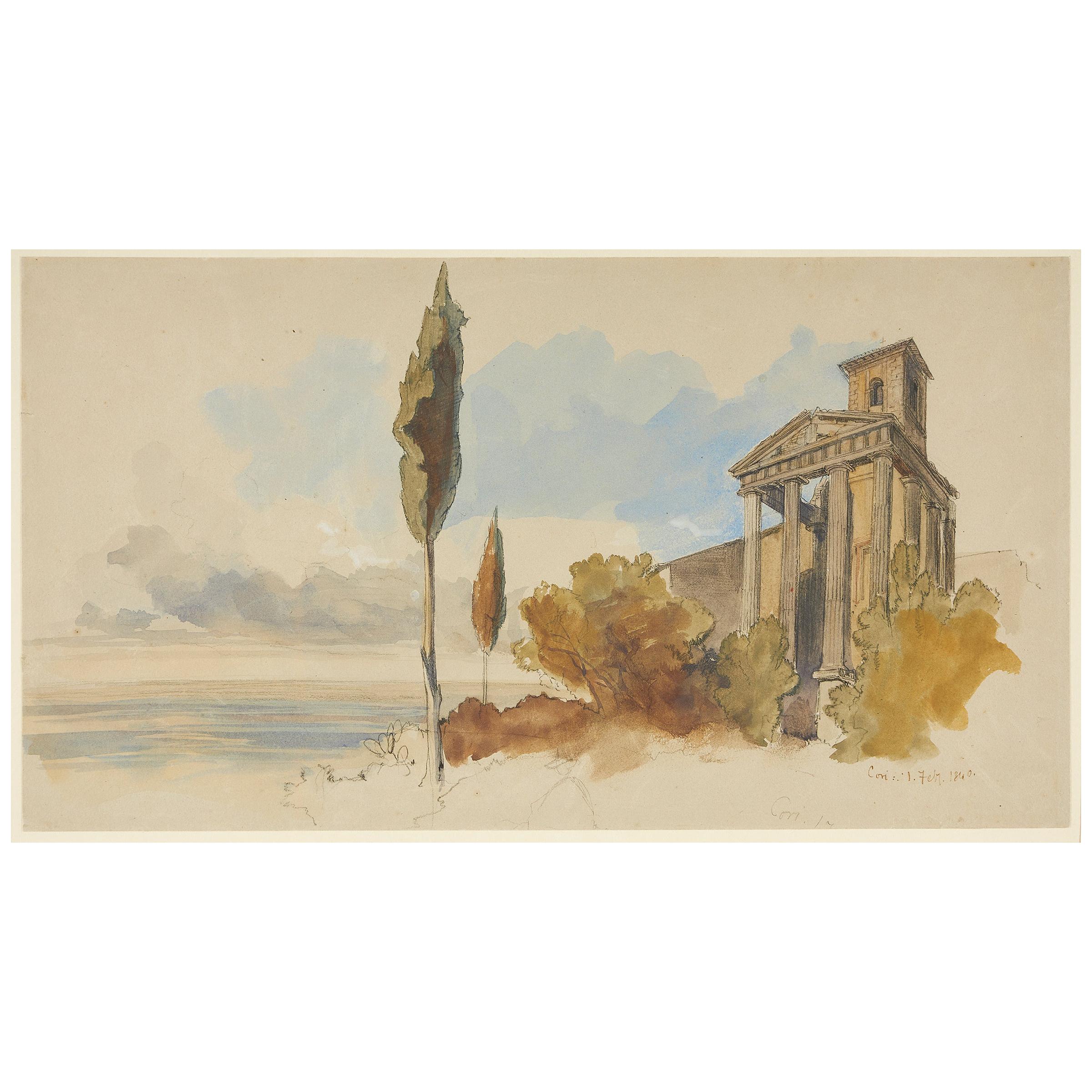 Edward Lear Lithograph from "The Birds of Europe" at 1stDibs