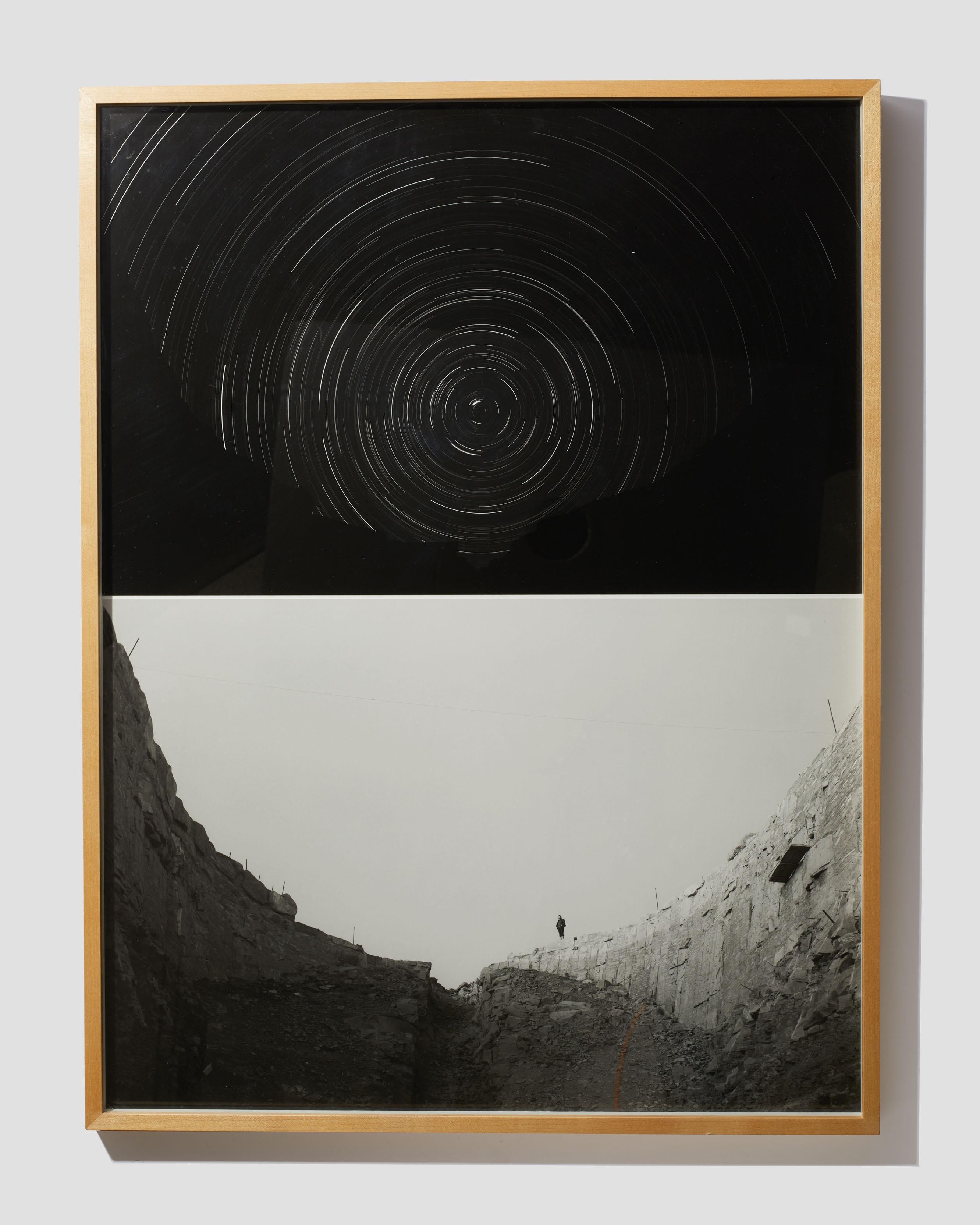 Michael Berman - Janos Birds For Sale at 1stDibs