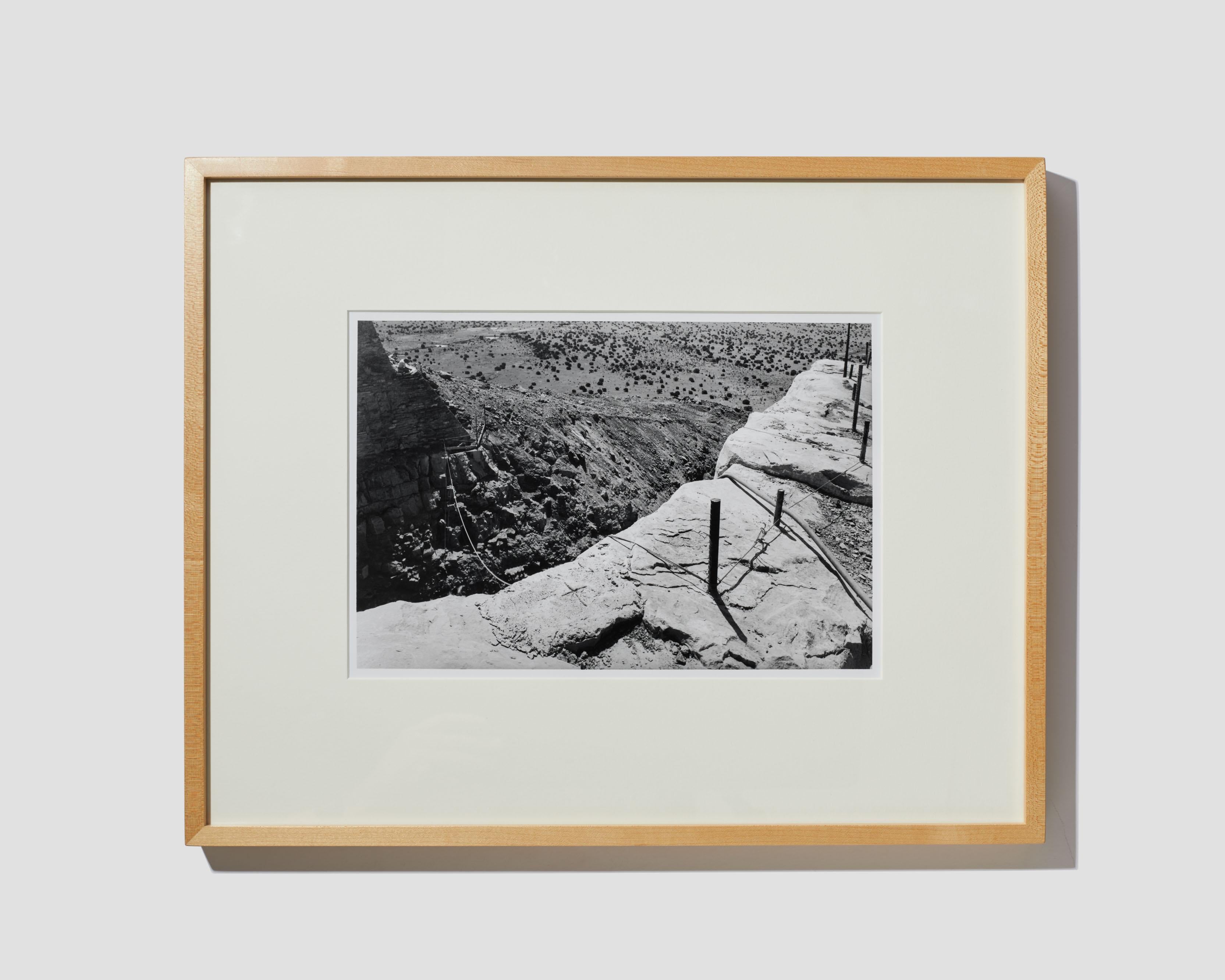 Michael Berman - Janos Birds For Sale at 1stDibs