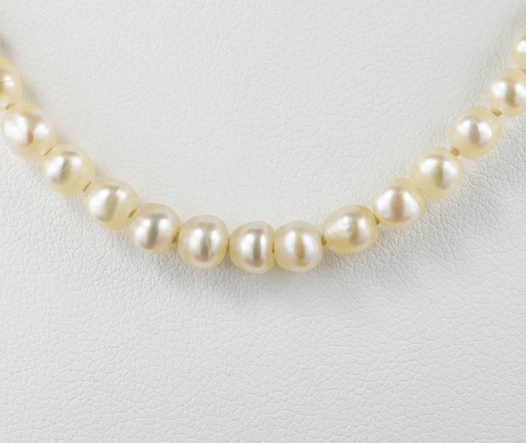 Edwardian Natural Basra Pearl Single Strand Necklace For Sale at ...
