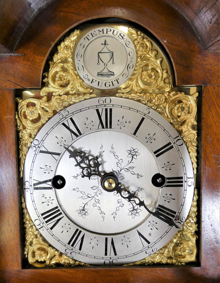 Edwardian Walnut Weight Driven Grandmother Clock For Sale at 1stDibs