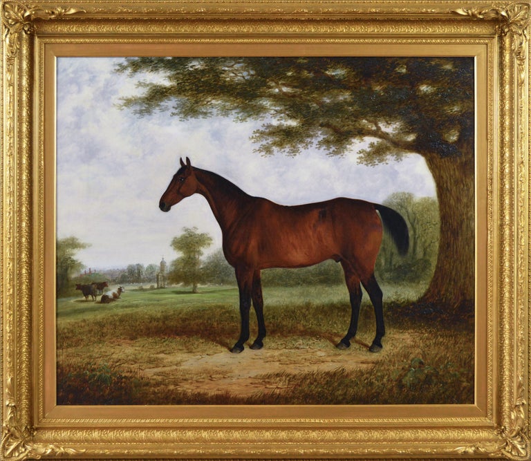 Edwin Brown - 19th Century sporting animal oil painting of a horse with ...